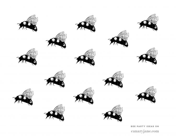 Bumble Bee Party + Free Printable Banner – Canary Jane