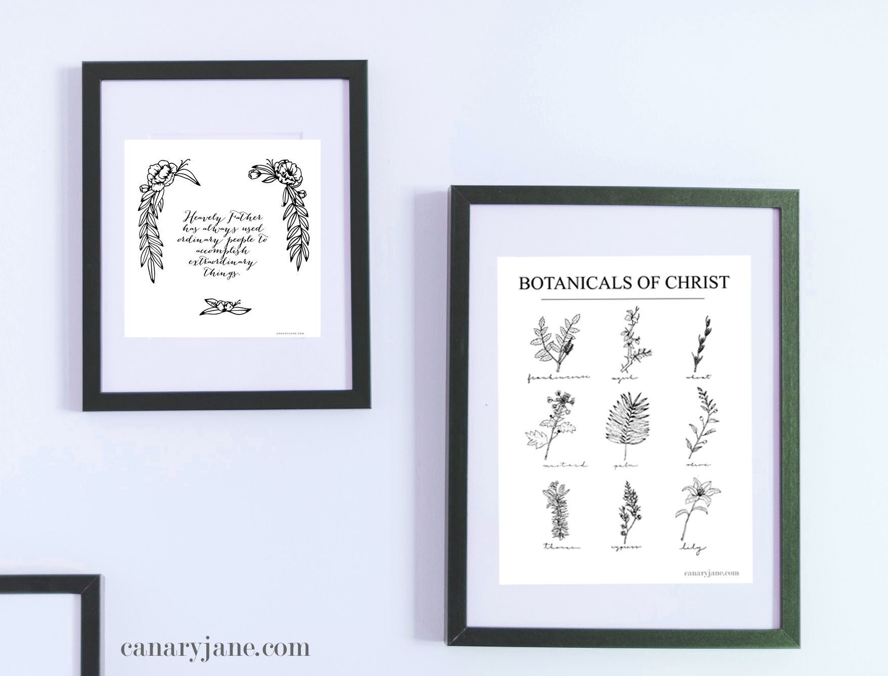 Botanicals of Christ Free Printable – Plants in Jesus Life – Canary Jane