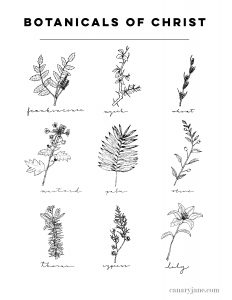 Botanicals of Christ Free Printable - Plants in Jesus Life - Canary Jane