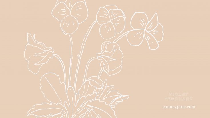 February Violet Birth Flower Background & Coloring Page – Canary Jane