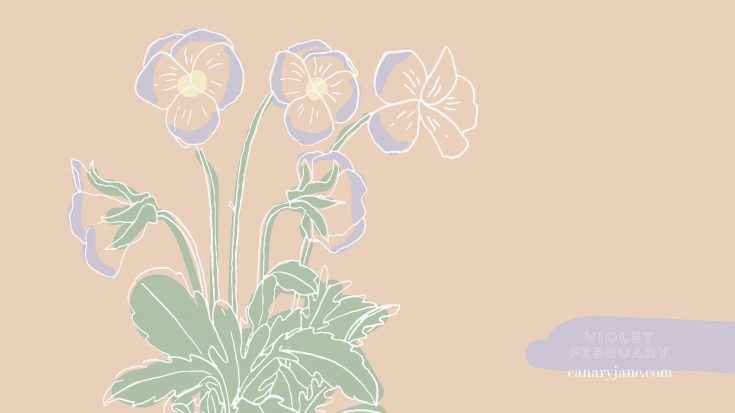 February Violet Birth Flower Background & Coloring Page – Canary Jane