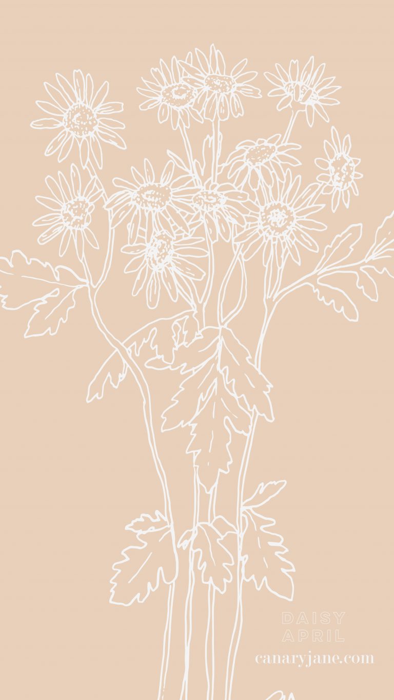 April Daisy Birth Flower Background & Coloring Page – Canary Jane