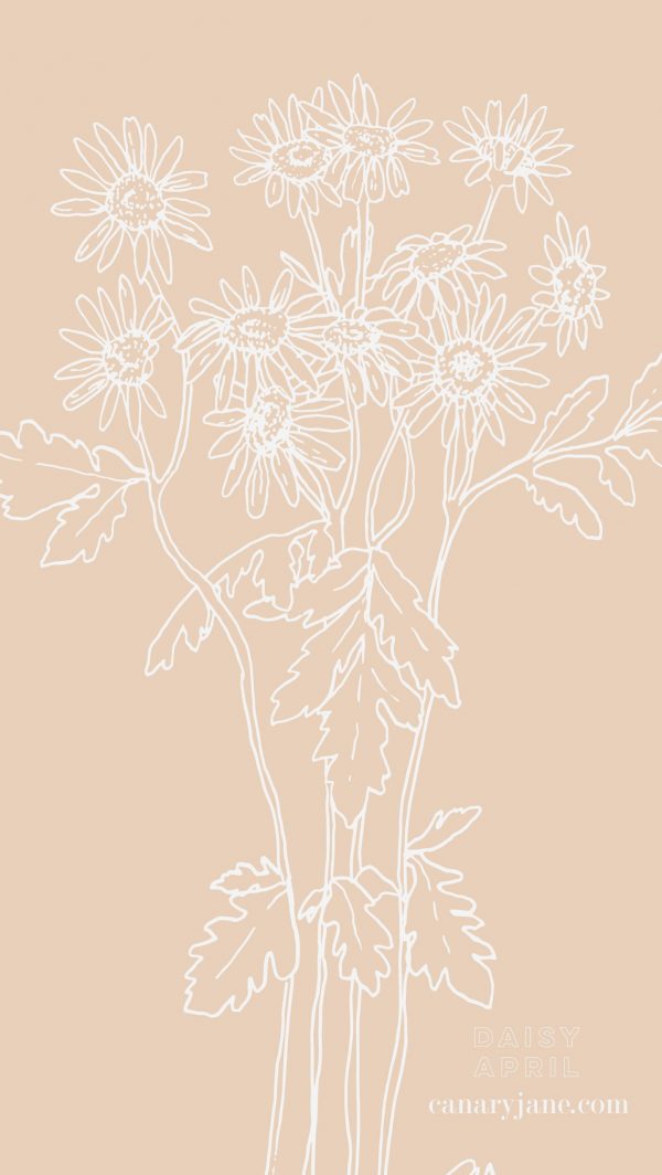 April Daisy Birth Flower Background & Coloring Page – Canary Jane