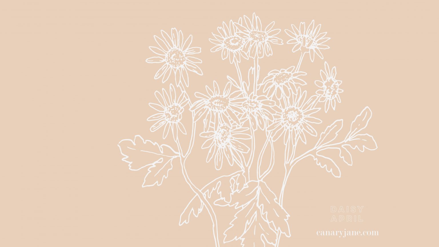 April Daisy Birth Flower Background & Coloring Page – Canary Jane