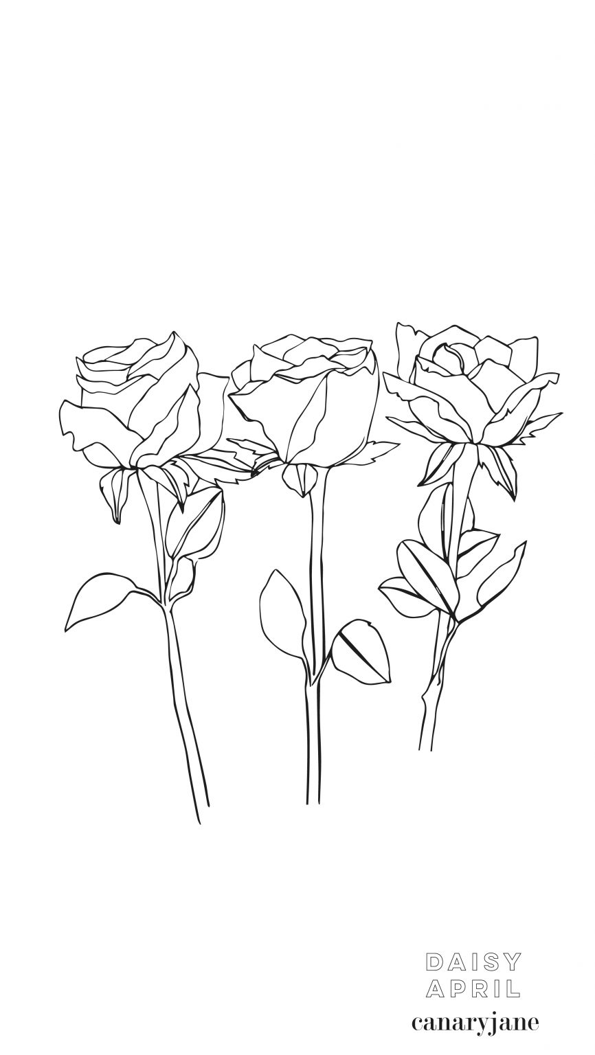 June Rose Birth Flower Background & Coloring Page – Canary Jane