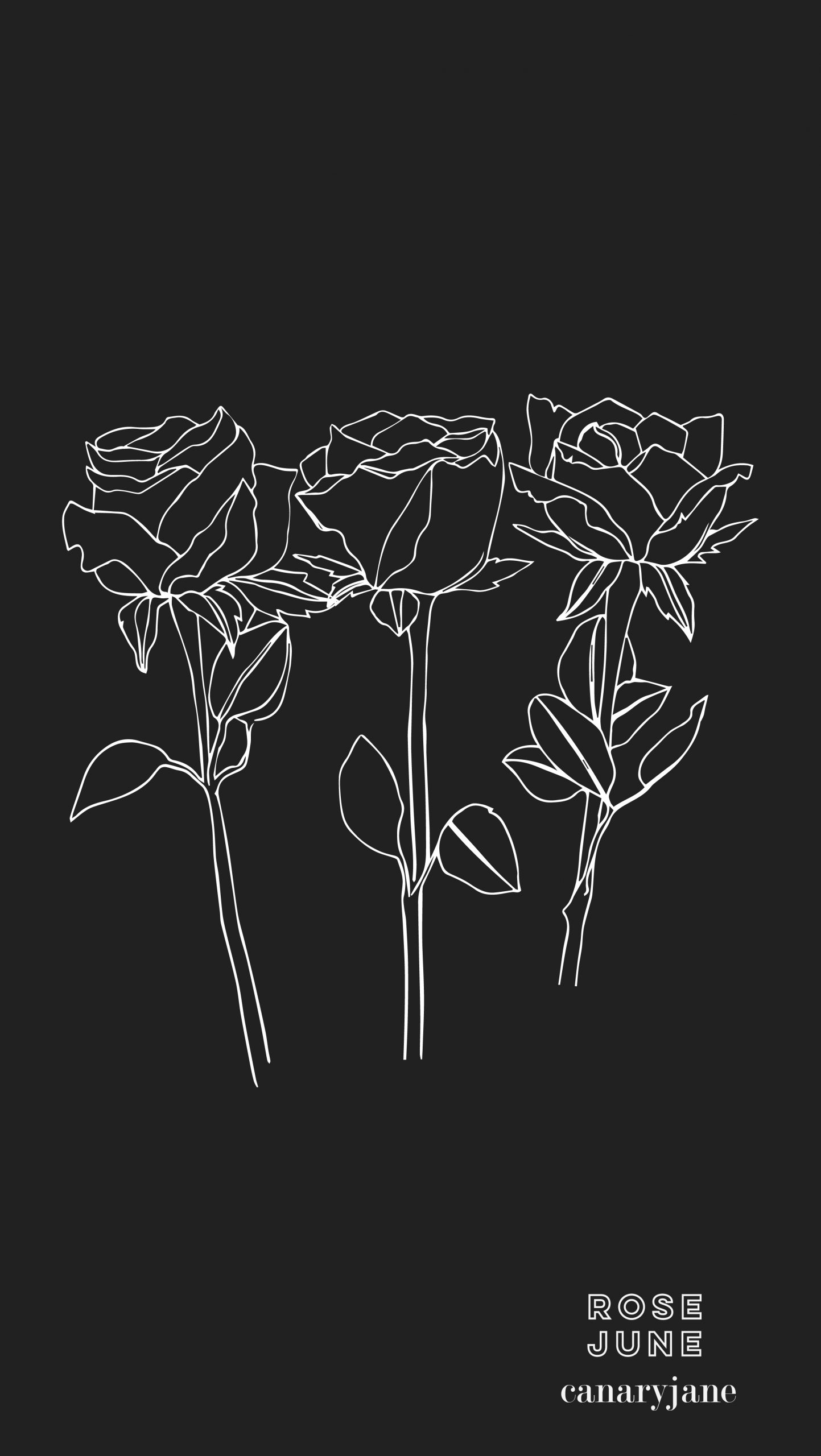 June Rose Birth Flower Background & Coloring Page – Canary Jane