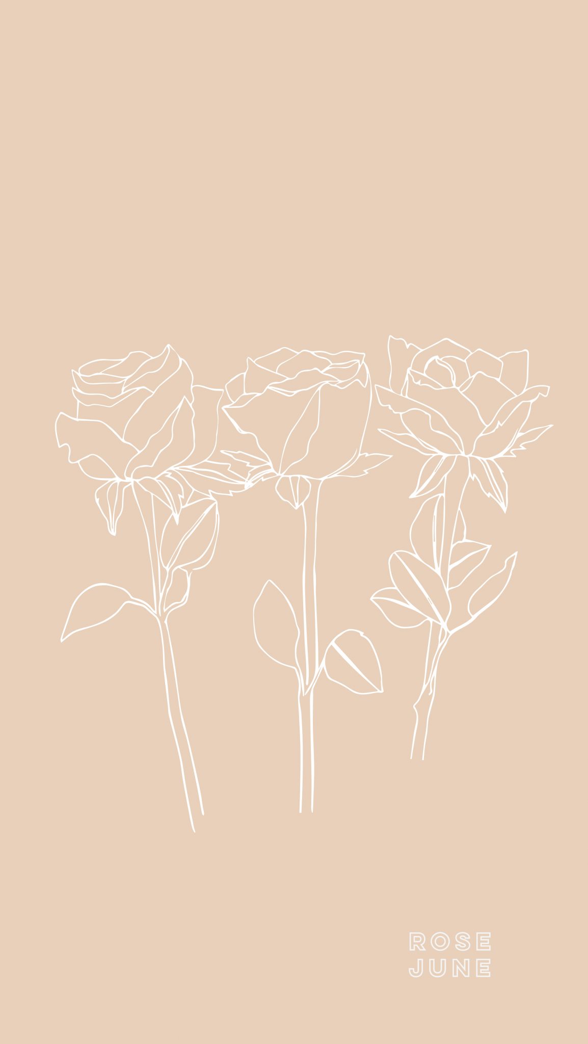 June Rose Birth Flower Background & Coloring Page – Canary Jane