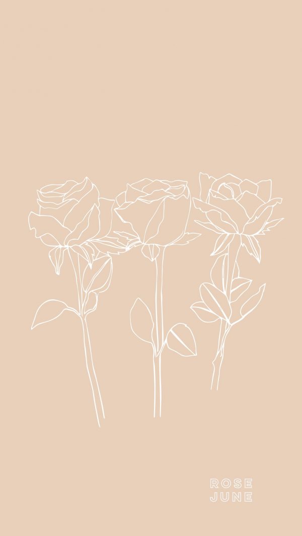 June Rose Birth Flower Background & Coloring Page – Canary Jane