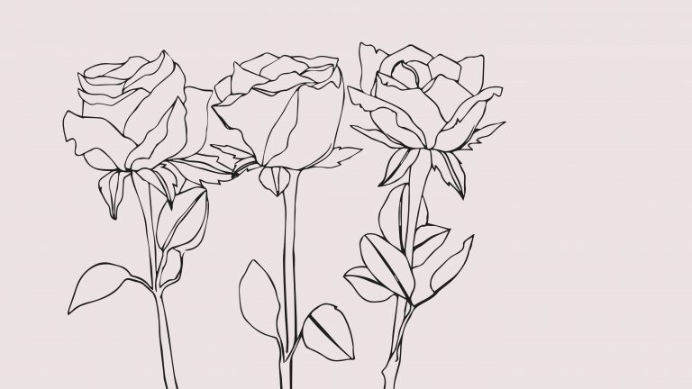 June Rose Birth Flower Background & Coloring Page – Canary Jane