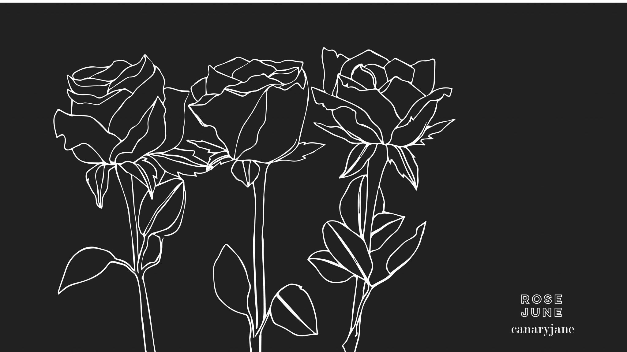 June Rose Birth Flower Background & Coloring Page – Canary Jane