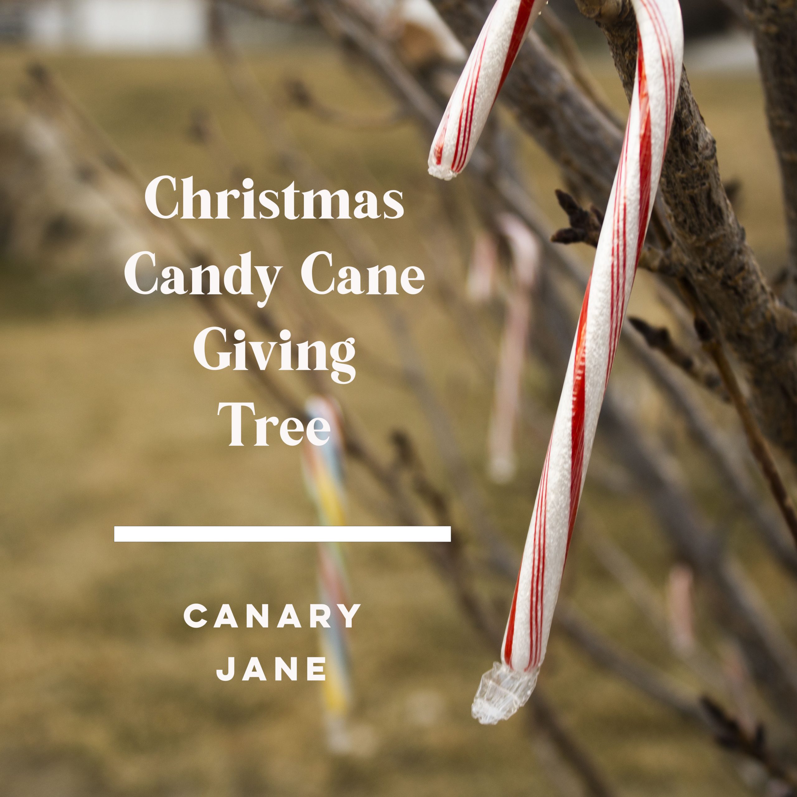 Magical Christmas Candy Cane Giving Tree Your Neighborhood Will Love ...