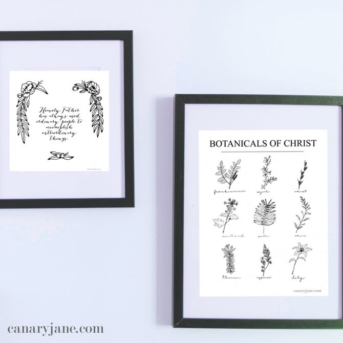 Botanicals of Christ – Canary Jane