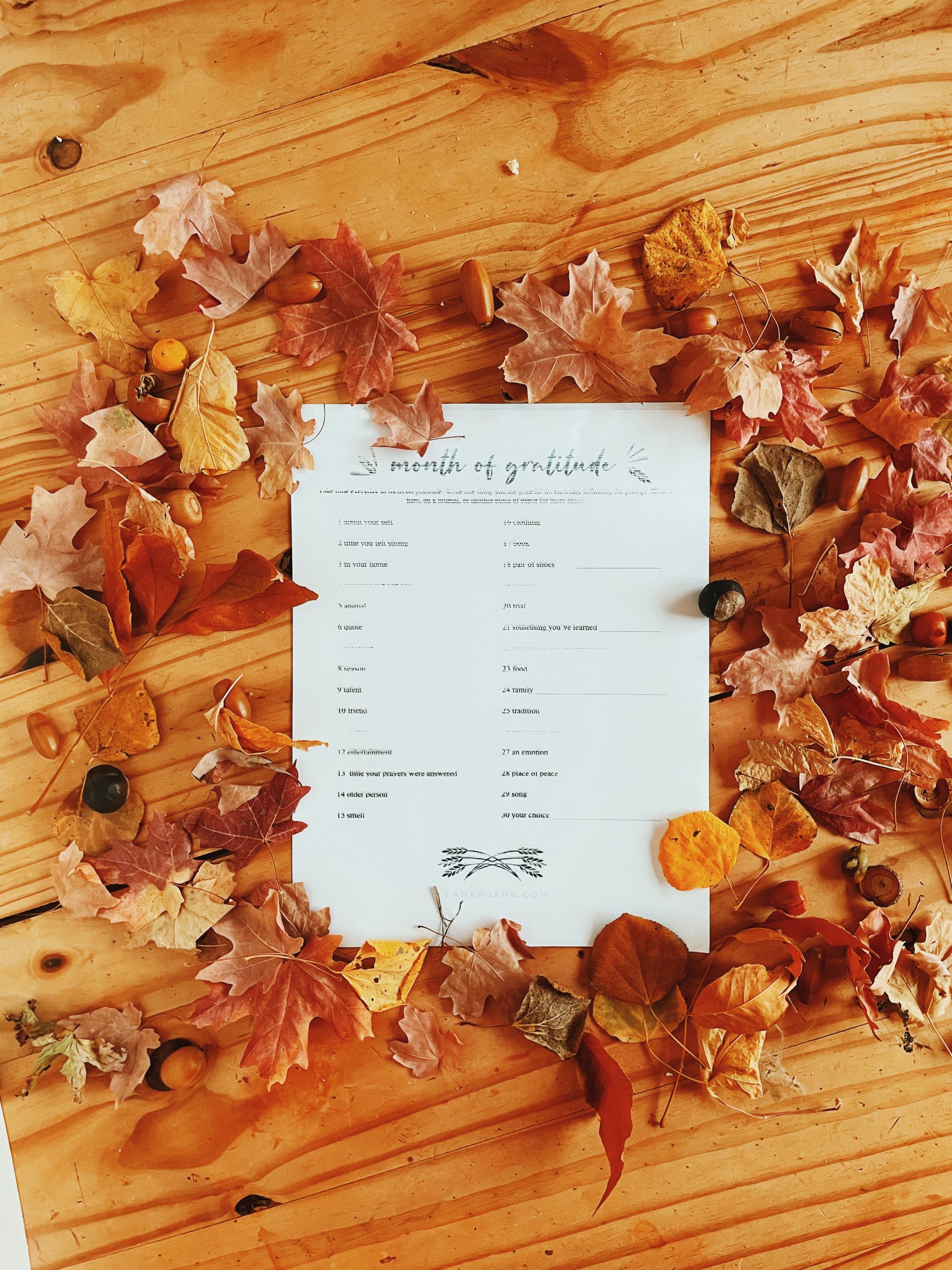 Month of Thanksgiving Free Printable – Canary Jane